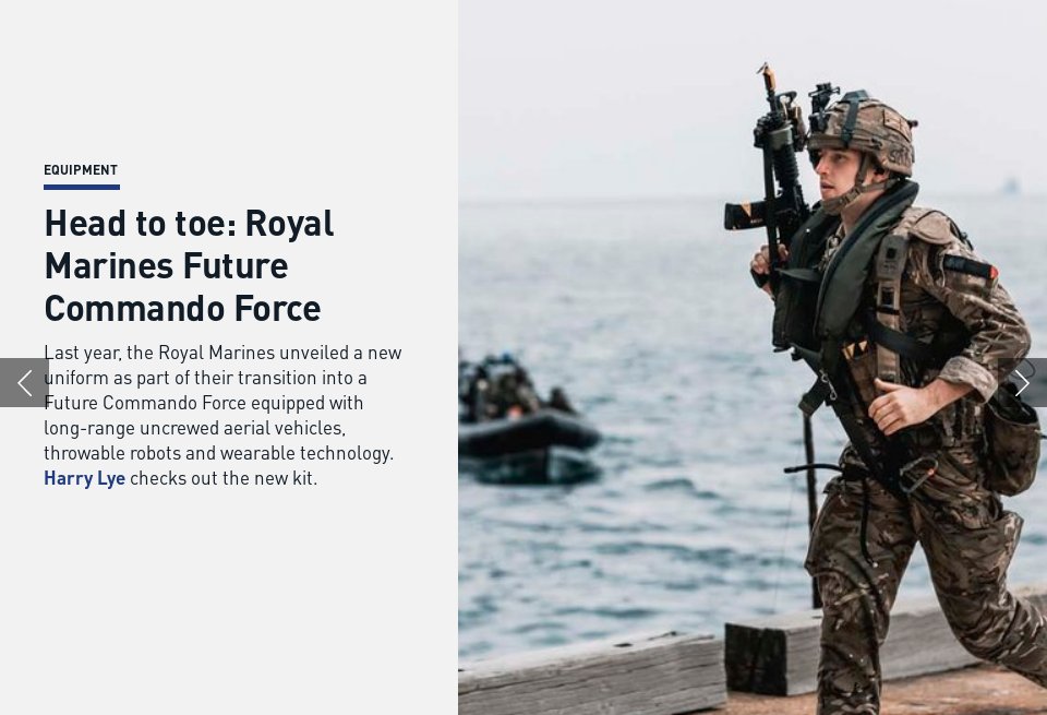 marines commando units